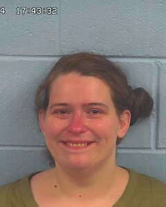 Inmate Roster - Page 16 Current Inmates Booking Date Descending ...